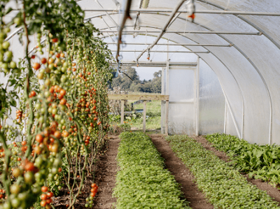 Weddings - Rock Farm Slane